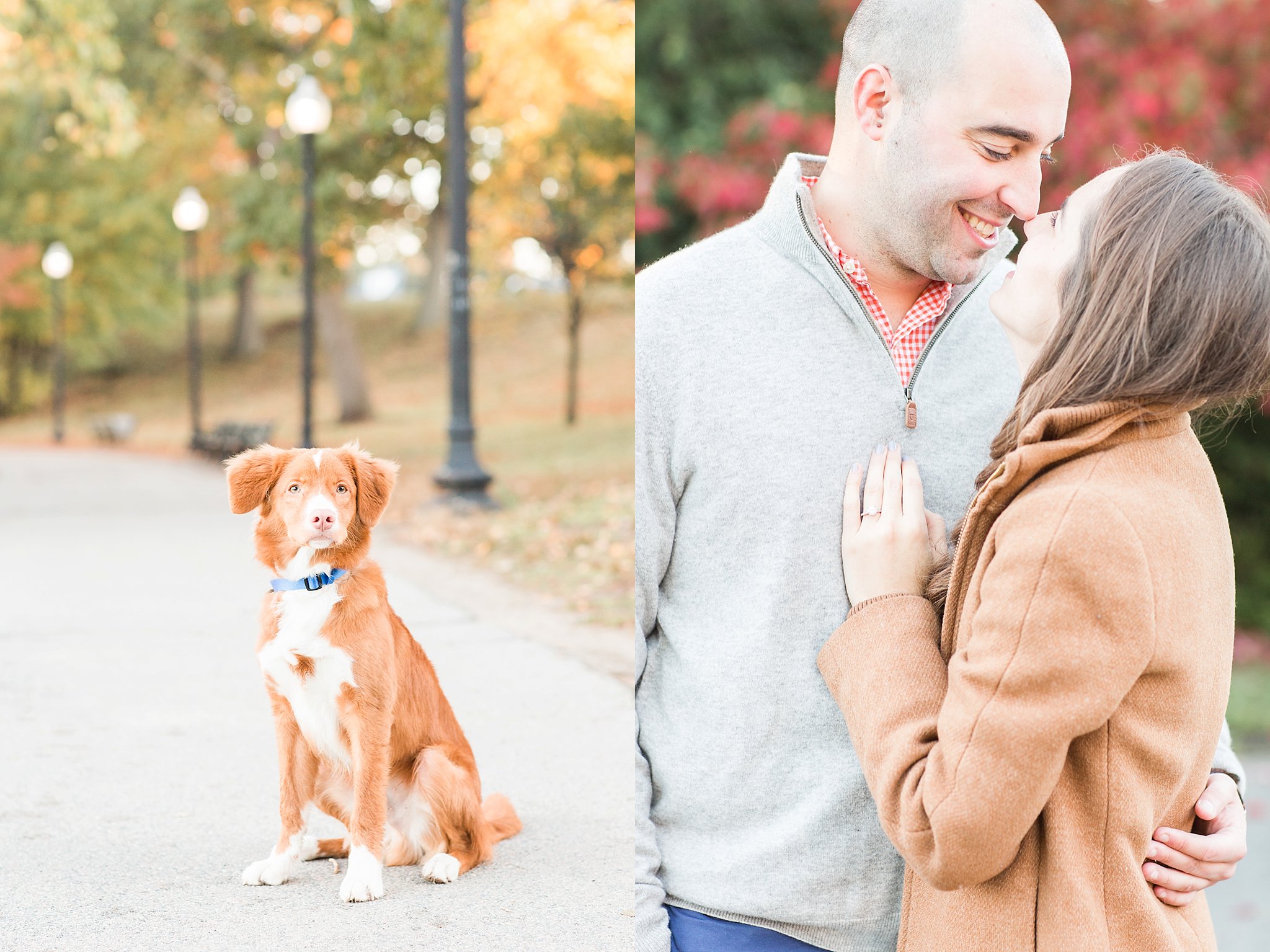 Jamaica-Pond-Engagement-Session_0020 | Lauren Dobish Photography