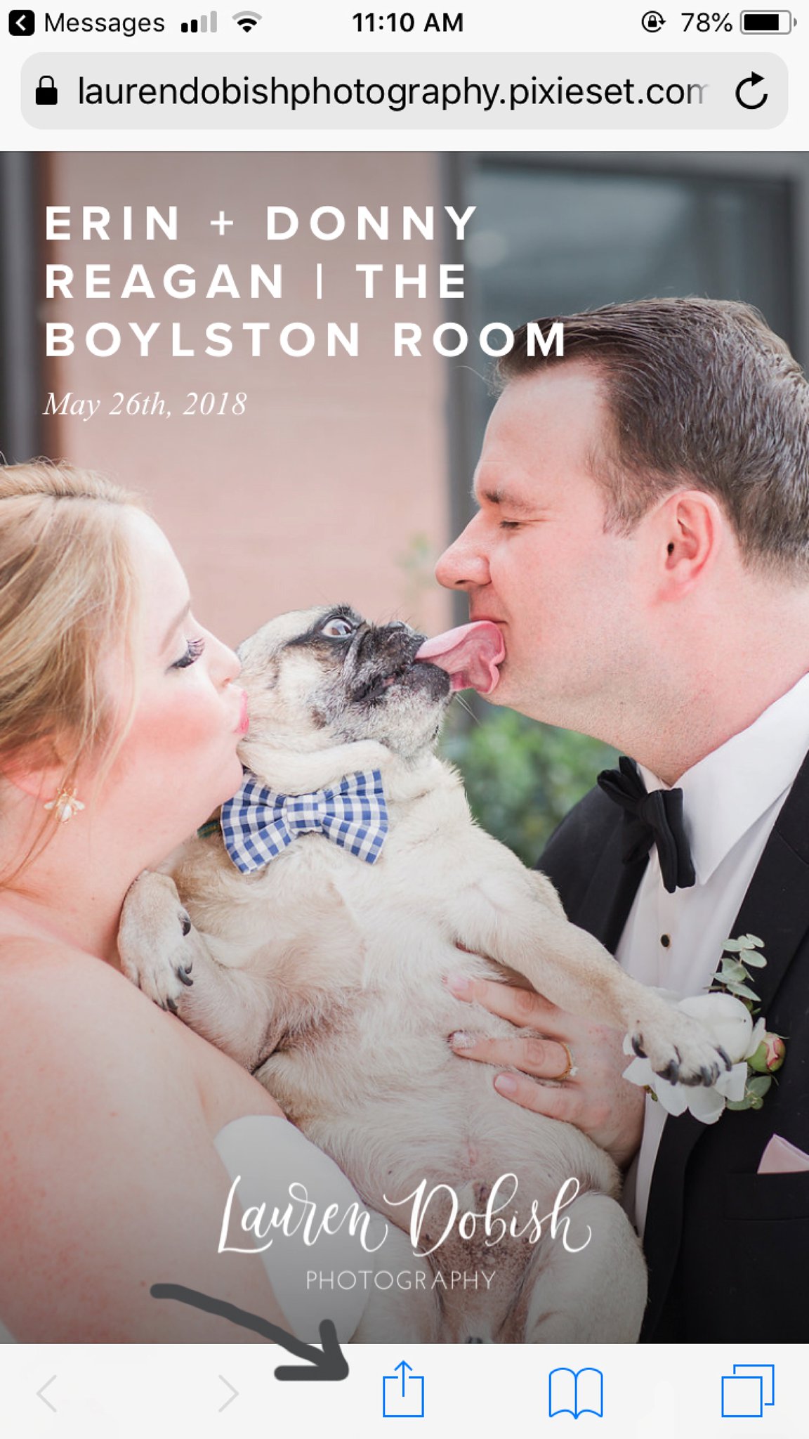 Lauren-Dobish-Photography-Pixieset-Tutorial_0002 | Lauren Dobish ...